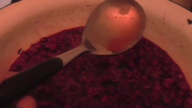 Вяленая вишня. Цукаты в дегидраторе. Ну очень вкусно!!!