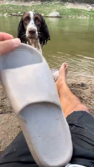 А я говорю : Бросай! 😅