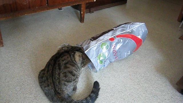 Самоупаковка