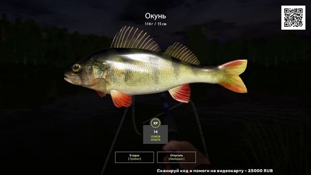 ЛОВЛЯ ОКУНЯ ИГРА РР4 РУССКАЯ РЫБАЛКА 4