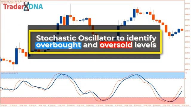 🔴 Simple Trading System That Made Millions (The Turtle Channel - Stochastic - RSI)
