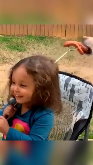 Fun Animal Shorts 2024: Cats, Bulldogs, and More!