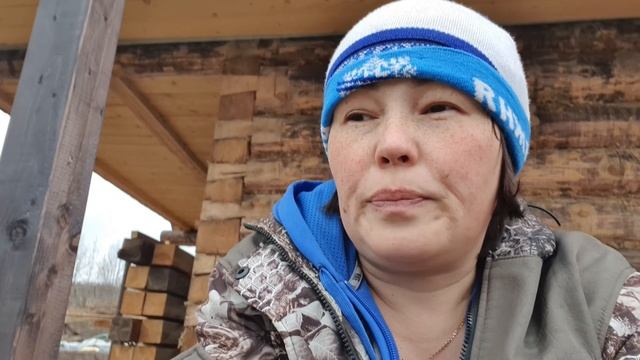 Не слушайте блогеров.  Пересаживаю клубнику. Айша Алабайша