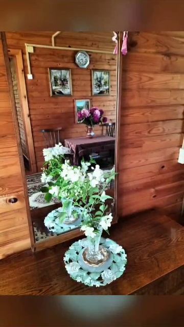 Цветы на садовом участке. Розы, Ирис,Лилейник. Кошка Дуся и маленький котёнок Степан. Лето 2023г.