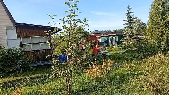 Отдыхаю в деревне у бабушки Любы Пироговой.