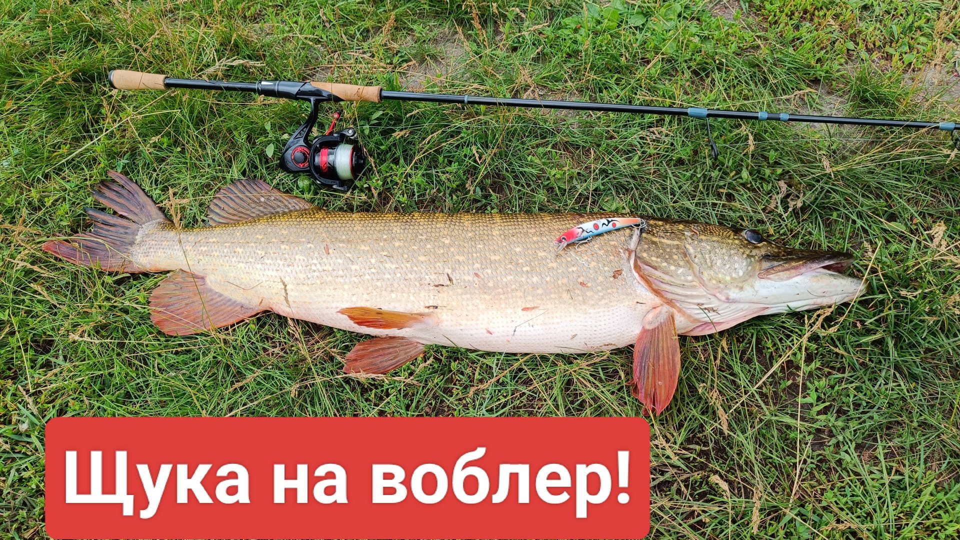 Трофейная ЩУКА с лодки на ВОБЛЕР!!!