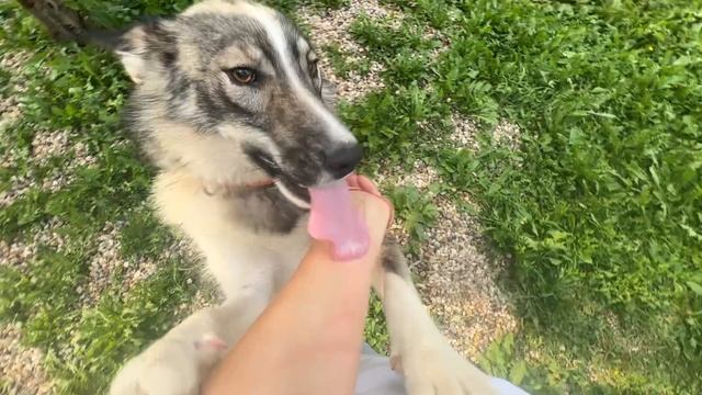 Вы нужны нам!