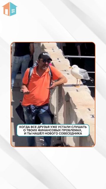 Финансы и собеседники