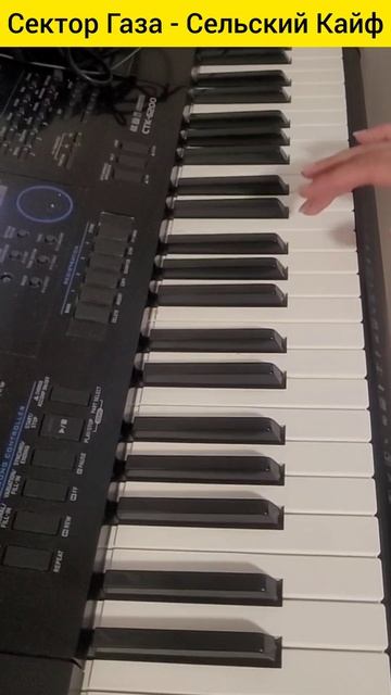 Сектор Газа - Сельский Кайф (Piano Cover) #секторгаза #сектор_газа #юрийклинских #хой