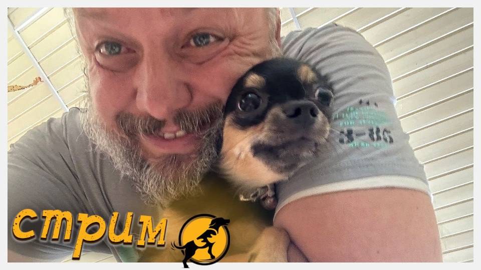 Вечерний стрим, отвечаем на ваши вопросы, делимся новостями 19.07.2025