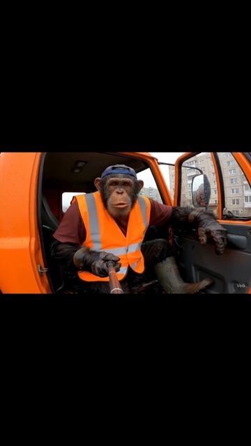 Жора ищет работу. Ассенизатор