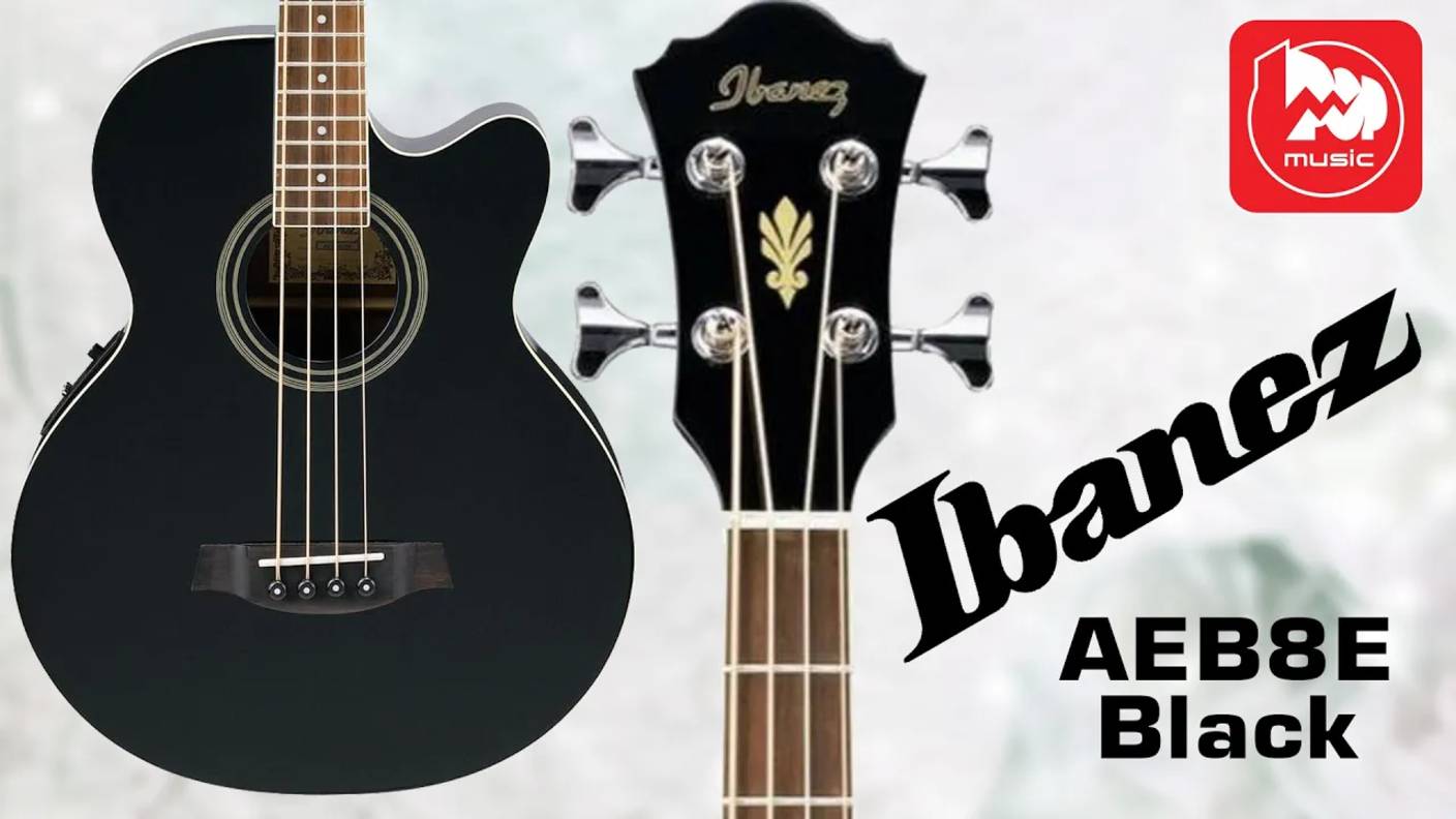 Акустический бас IBANEZ AEB8E Black (с подключением)