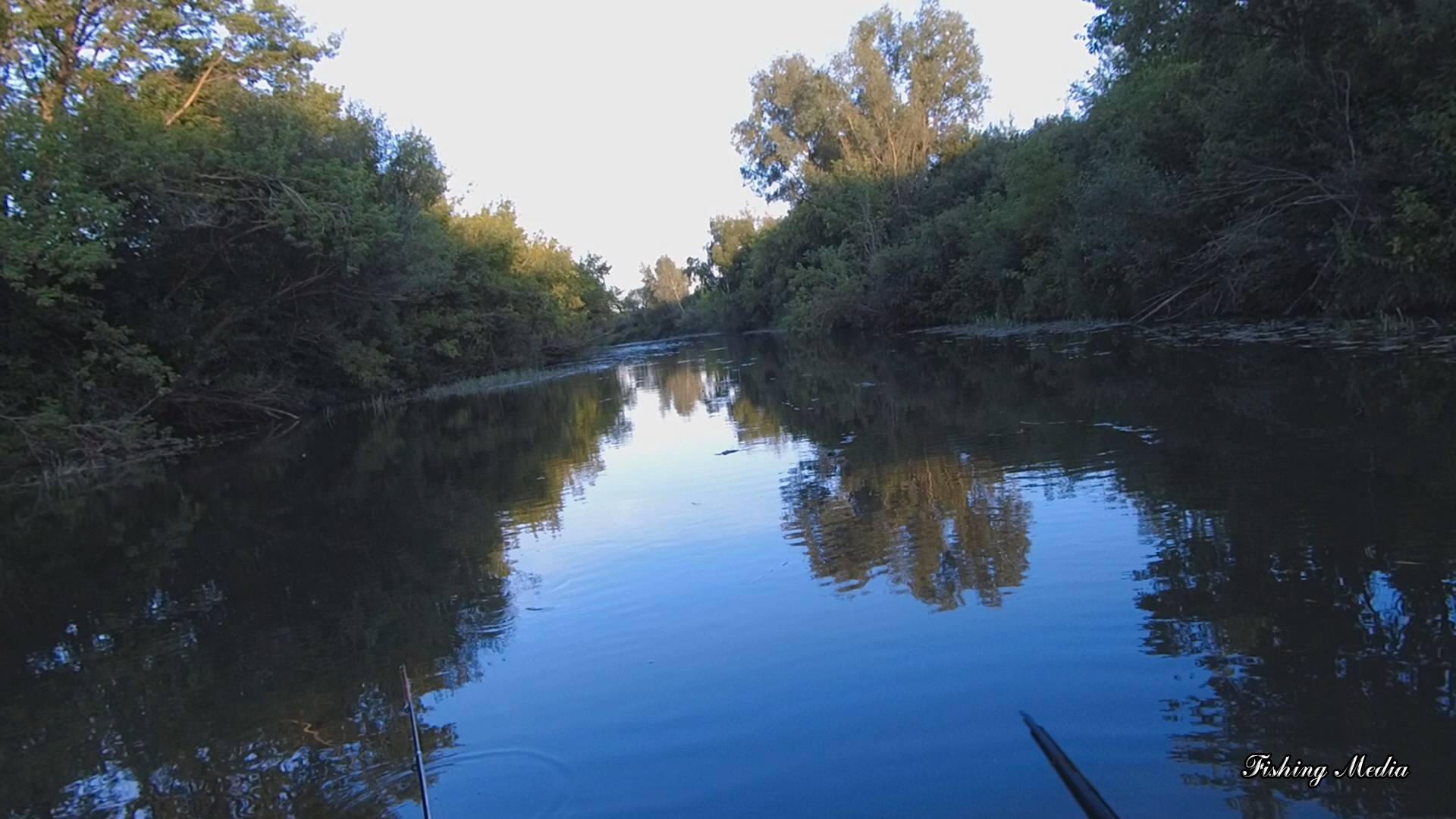 Рыбалка НА СОМА в ИЮЛЕ (на вешанки) на малой реке. Ловля живца для сома. Рыбалка на кузнечика.