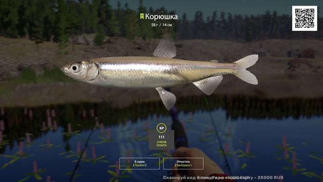 ЛОВИМ КОРЮШКУ НА ВЬЮНКЕ РУССКАЯ РЫБАЛКА4 РР4