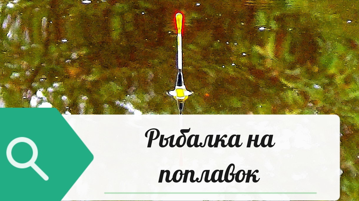 Рыбалка на поплавок. Крупный План 2.