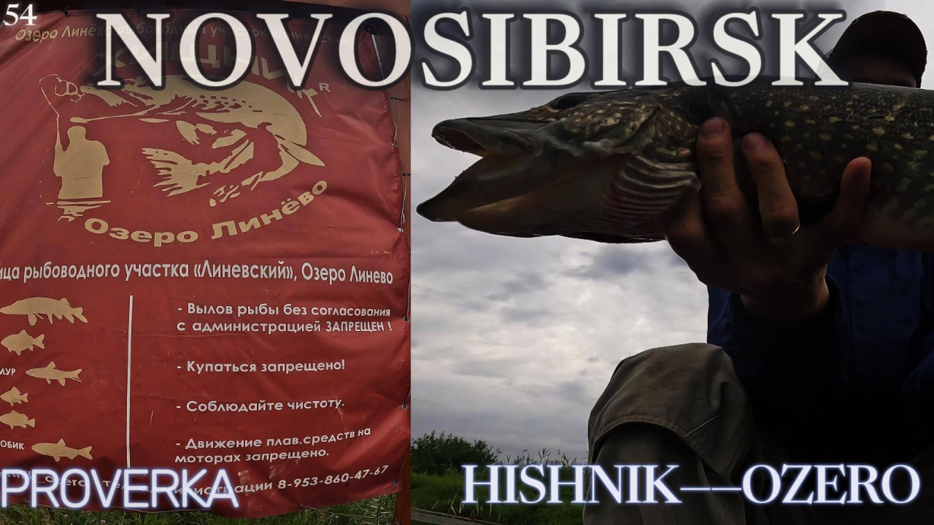 👍Рыбалка в НОВОСИБИРСКЕ "ХИЩНИК ЛИНЕВО"  ЩУКА ЕСТЬ! Спиннинг, Неогруженная резина.