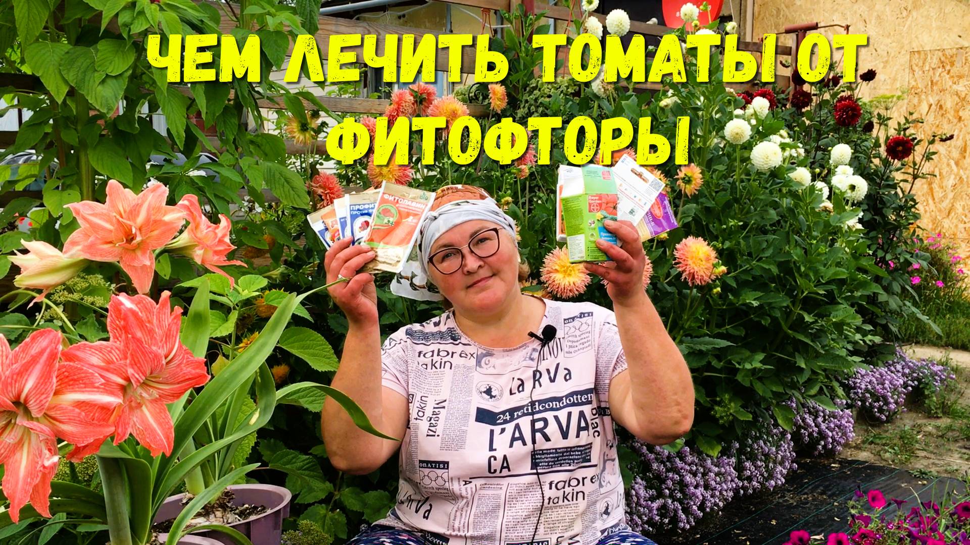 Чем обработать томаты от фитофторы: список препаратов и советы по обработке