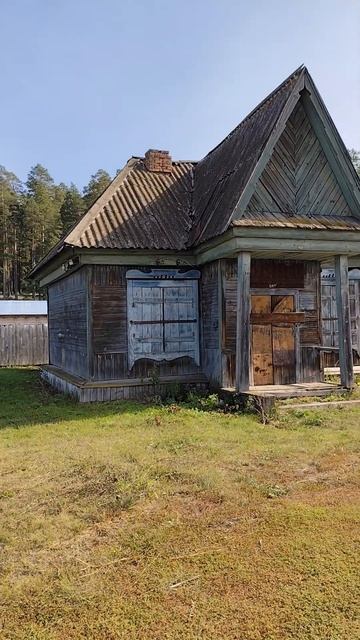 Терем в деревне Паника в Бузулукском бору! ))