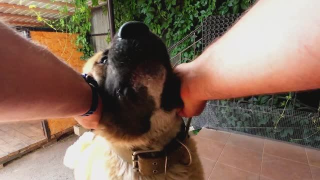 День на легкой суете (жара +)/A day of light bustle (heat +)