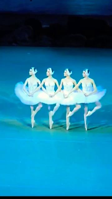 Мариинский театр. Мариинка Mariinskii Opera House. Танец маленьких лебедей#culture #театр #ballet