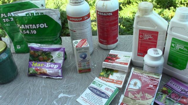 19.07.2025 г. Волгоград. Жара. Подкормка наших растений. Антистрессовые препараты. Препарат Бенефит