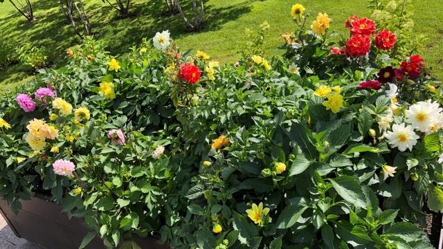 Москва: Разные фото | Николай Артемьев