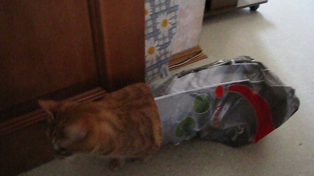 Самоупаковка пакетная. )