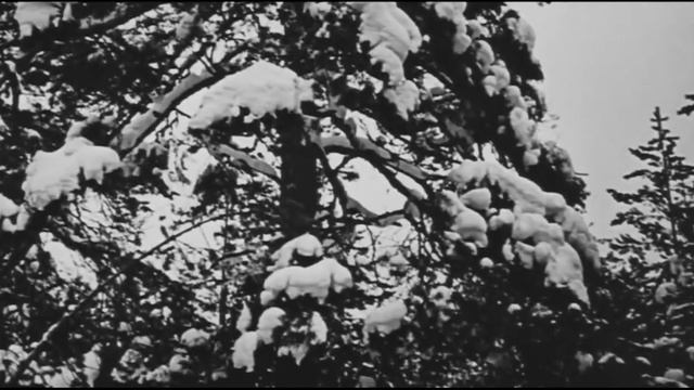 "Подвиг Матвея Кузьмина", Медиаклуб "Ракурс", г. Москва