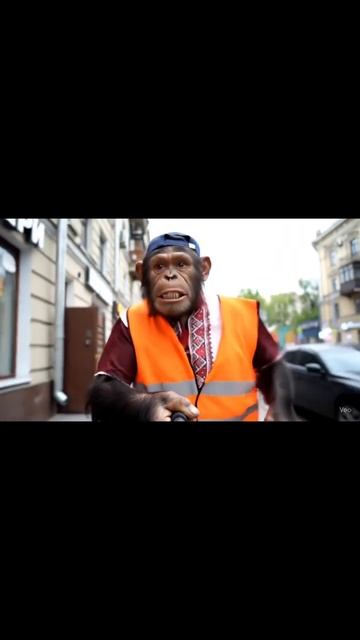 Жора ищет работу в Москве