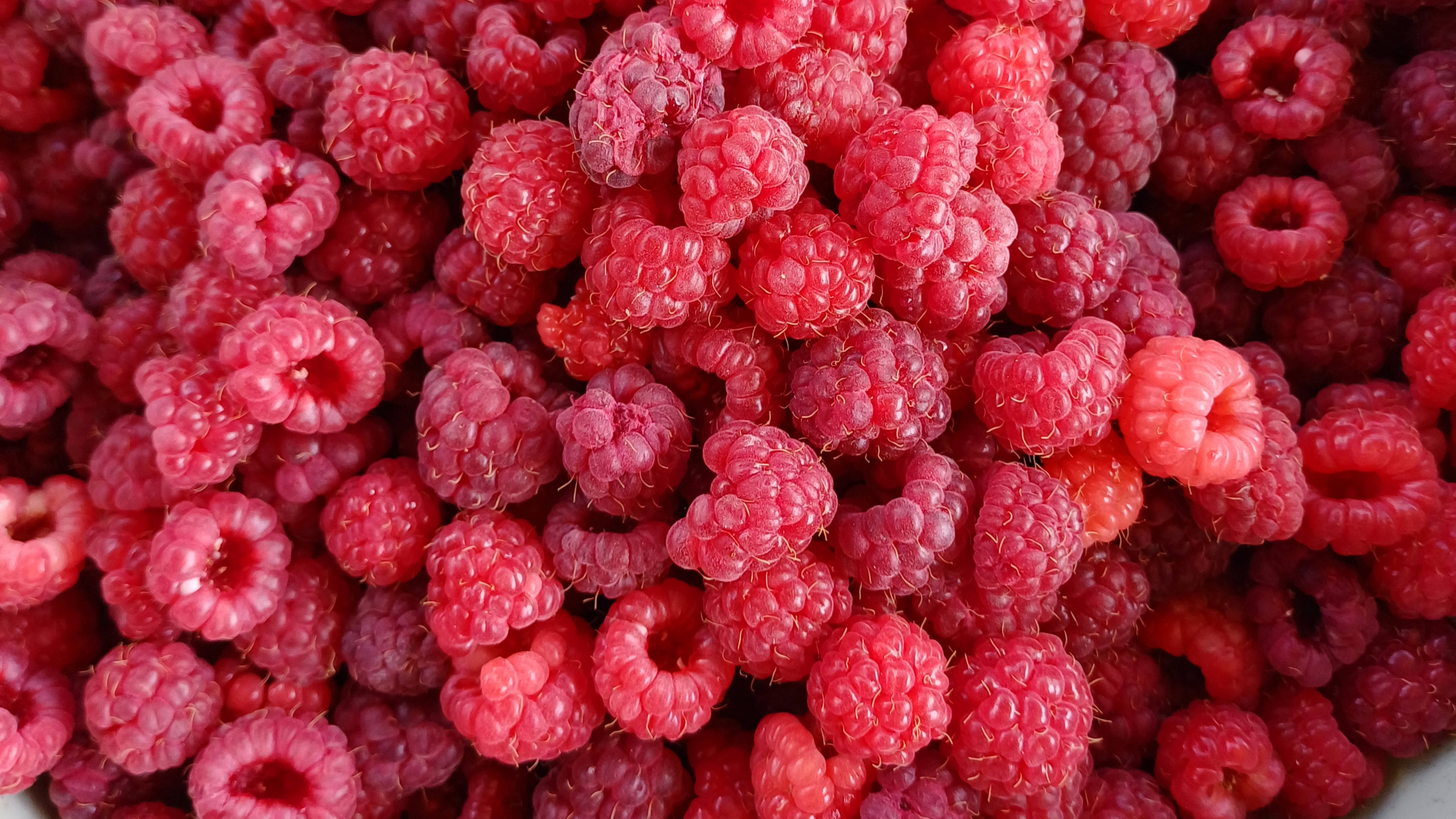 Обрезка однолетней малины