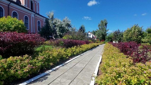 Полёты Синекана в сквере рядом с Камой