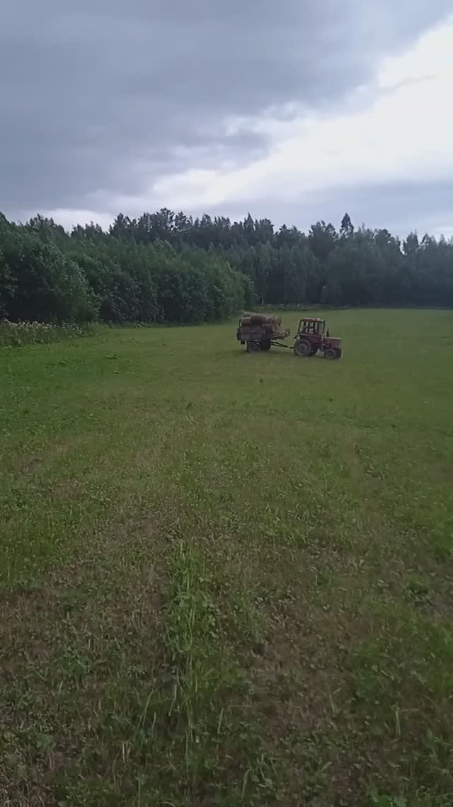 Забрал последнее сено в минирулонах  с этого сенокоса . Трактор т-25 с прицепом + 31 минирулон сена
