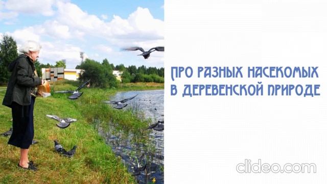 Про разных насекомых в деревенской природе (не кусачих)