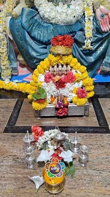 Даршан Саи Гаятри🙏 Прашанти Нилаям 🪷