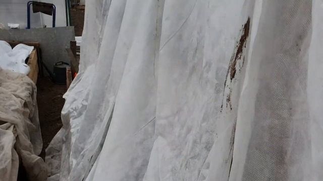 Подопытный не смог!!! Индюкам быть! Я мышиный король )))