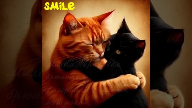 💖🐾Красивая история любви рыжего кота😻БРЮНЕТКА😻