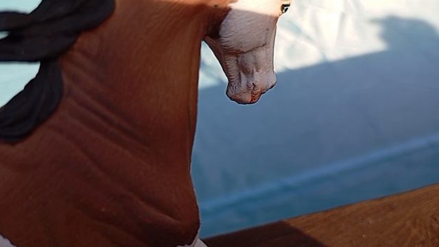 мини-фильм излишняя забота