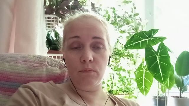 Домашние растения 🌱 и отпуск 🏖