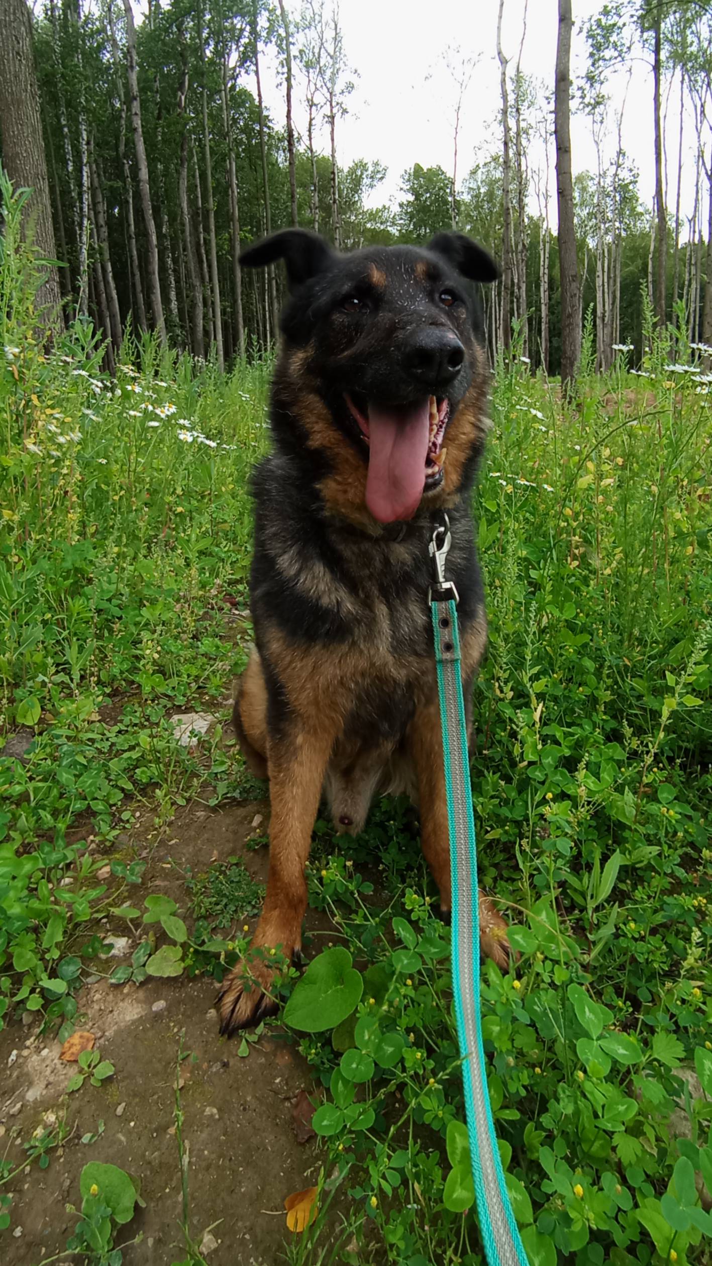 "По тропе, вслед за Лукасом!" ❥ Приют в Малинках