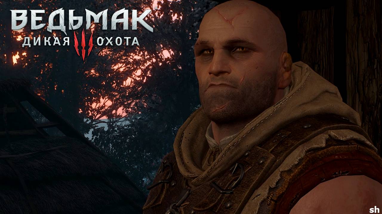 Ведьмак 3 Дикая Охота►Прохождение без комментариев.#11