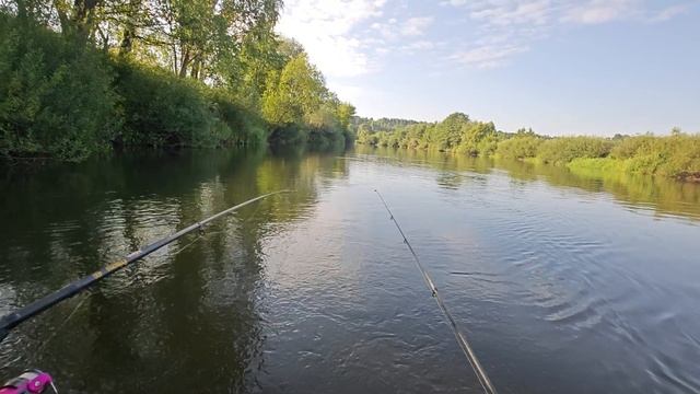 лод.мот.ФЛЕЙЗЕР 4,0 НА гон с лодки..  Выдалась классная утренняя зорька..Рыбка ОТОЗВАЛАСЬ..