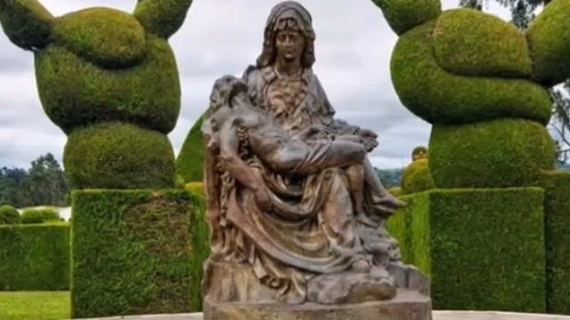 ... Кипарис - Что мы знаем про него....