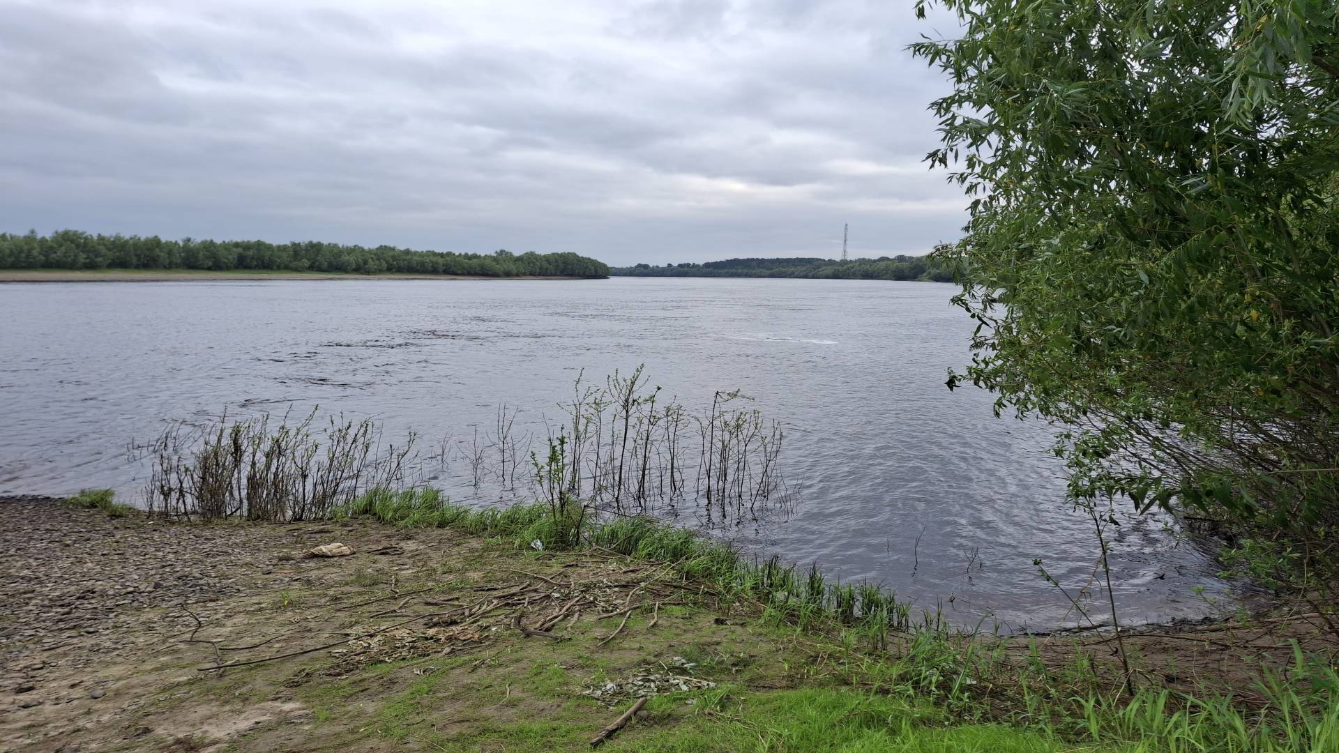 Природа Западной Сибири. Утиное семейство.  Речные просторы (часть 2) #89