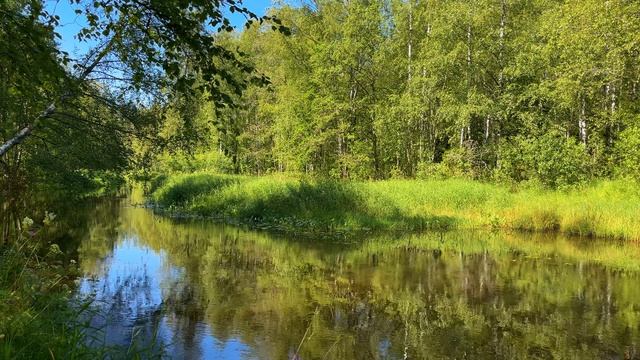 Красивое место на реке Вьюн, июль 2025