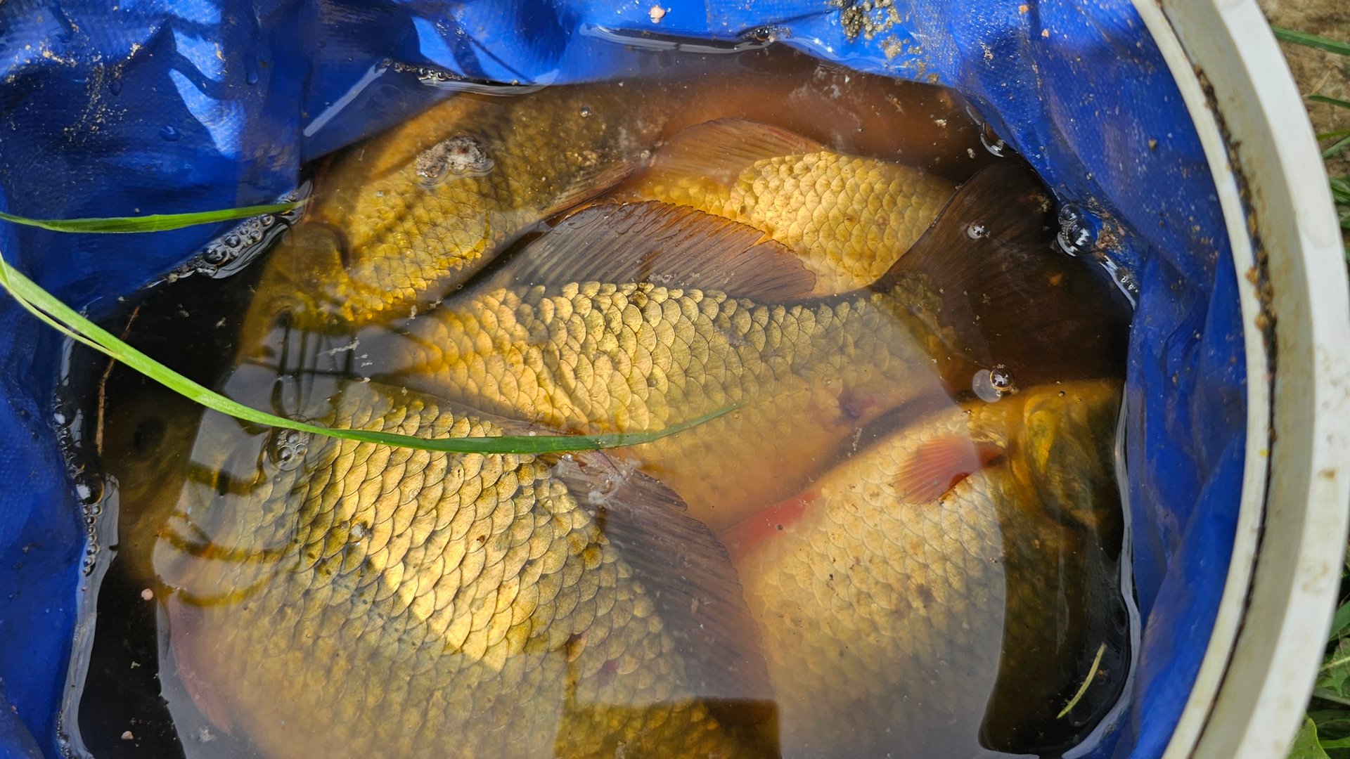 Начало отпуска. Рыбалка на Херабуну. первый опыт. Начало положено.