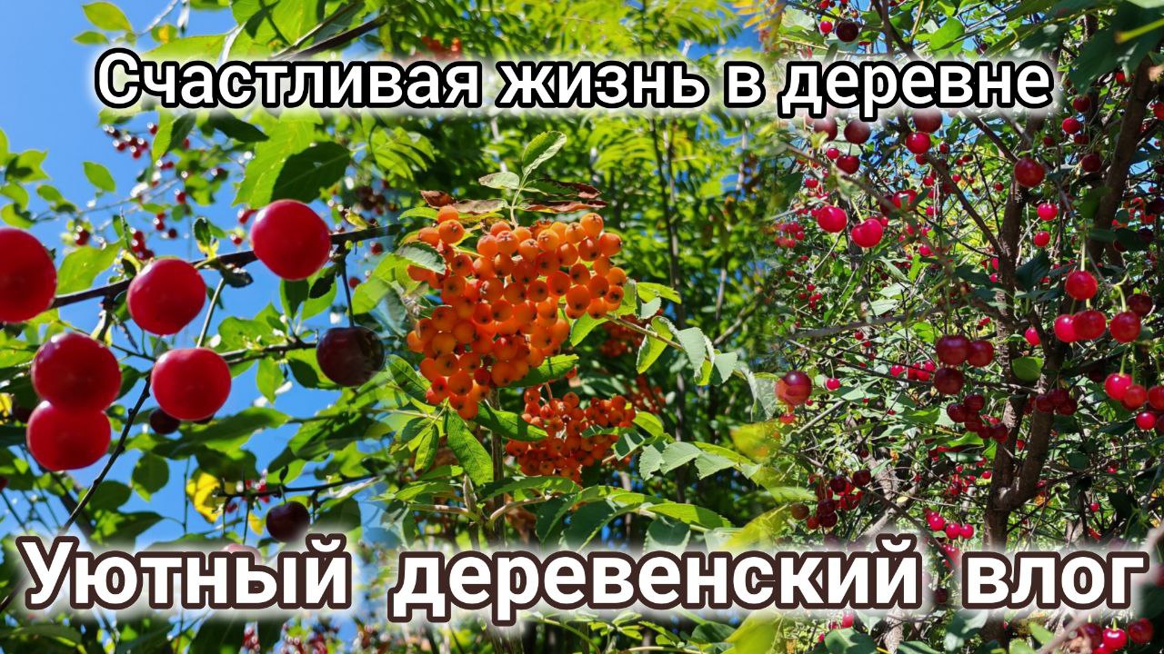 Счастливая и уютная жизнь в деревне, влог, деревенское лето