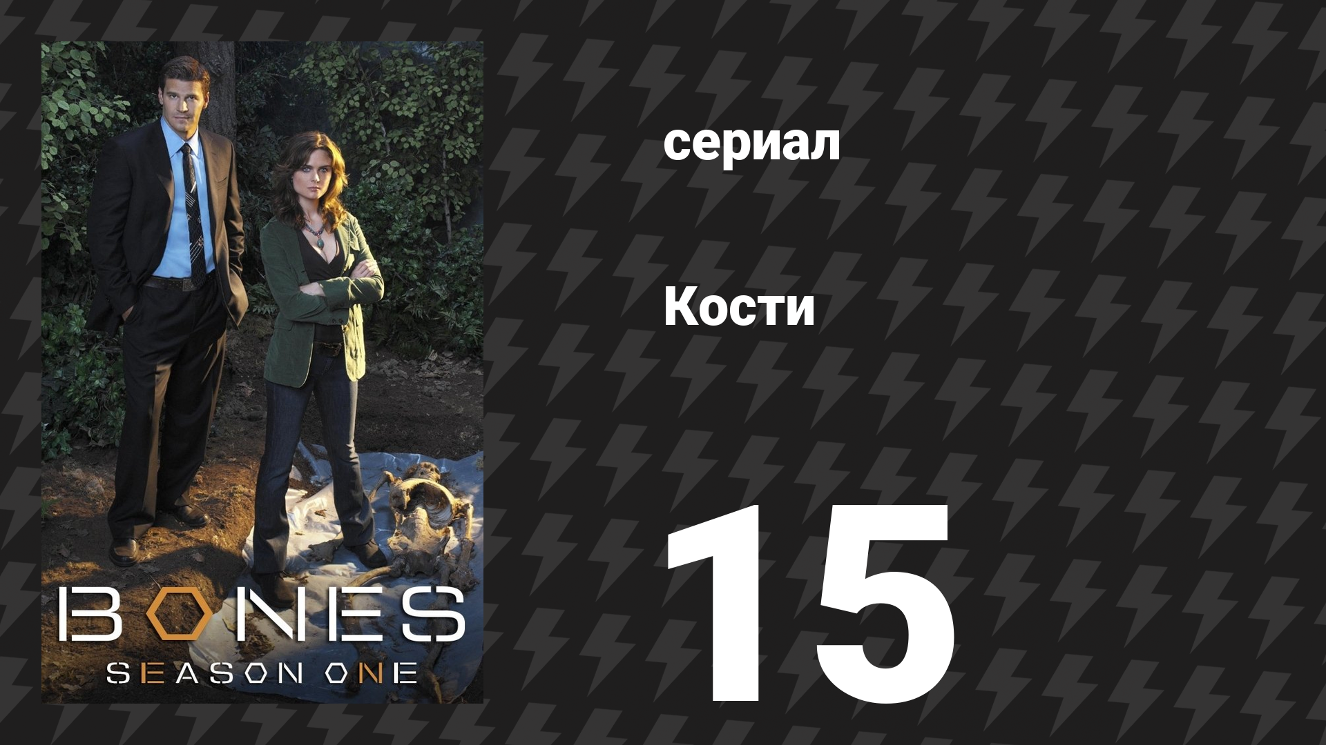 Кости 1 сезон 15 серия «Два тела в лаборатории» (сериал, 2005)