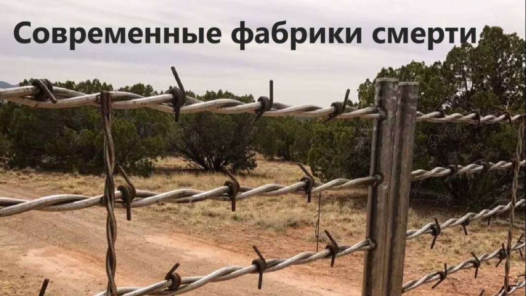 Современные фабрики смерти