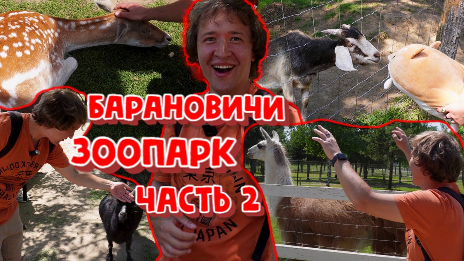 АВТОПУТЕШЕСТВИЕ ПО БЕЛАРУСИ!БАРАНОВИЧИ.ЗООПАРК.ДИПРИЗ.ЧАСТЬ 2.ДИМОЧКА ПОТРОГАЛ ИХ ВСЕХ!!!