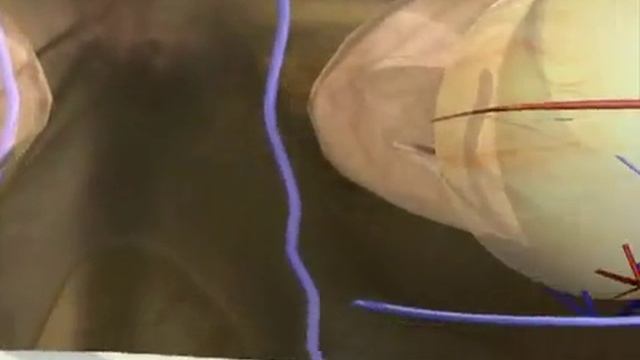 Animación 3D  глазные яблоки